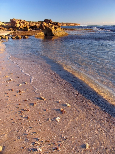 Cactus Beach, Adelaide - Explorow.com