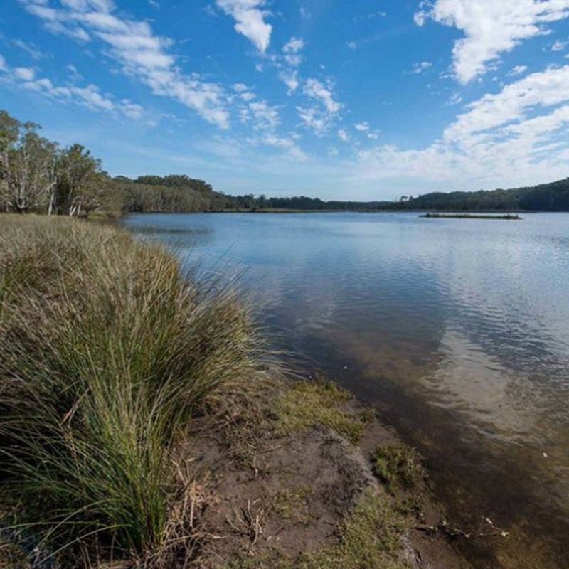 Lake Innes Nature Reserve, Port Macquarie - Explorow.com