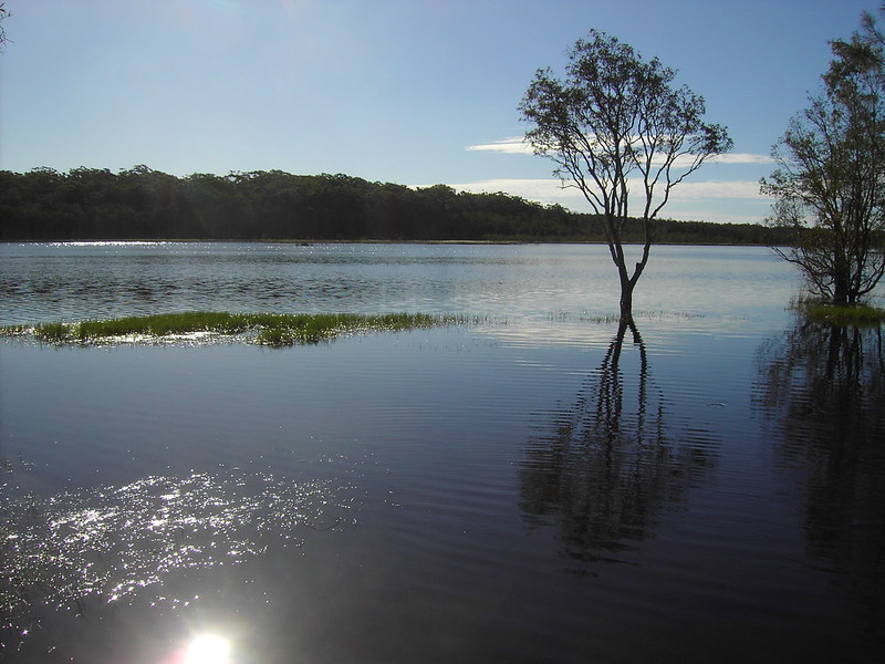 Lake Innes Nature Reserve, Port Macquarie - Explorow.com